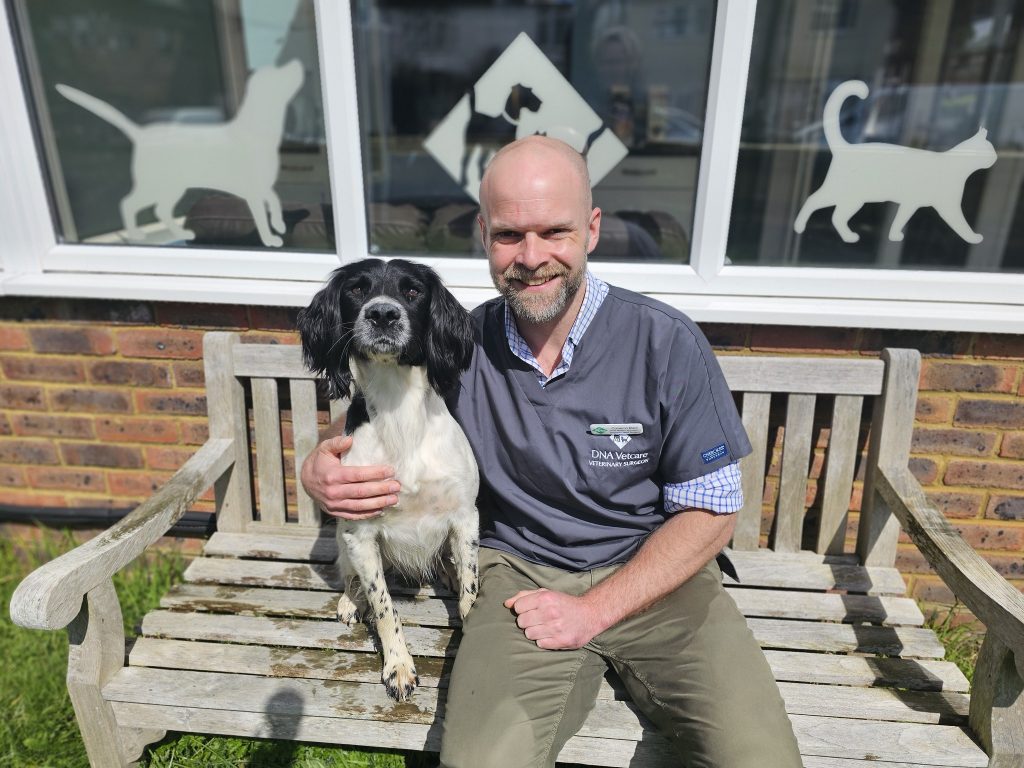 Best Veterinary Surgery in Arthur Lodge - Ash Barn - Downs Links ...