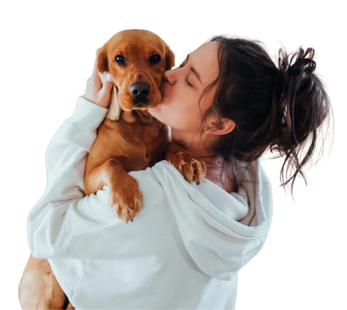 Arthur Lodge Veterinary Surgery VIP Landing Page - AshBarn | Arthur ...